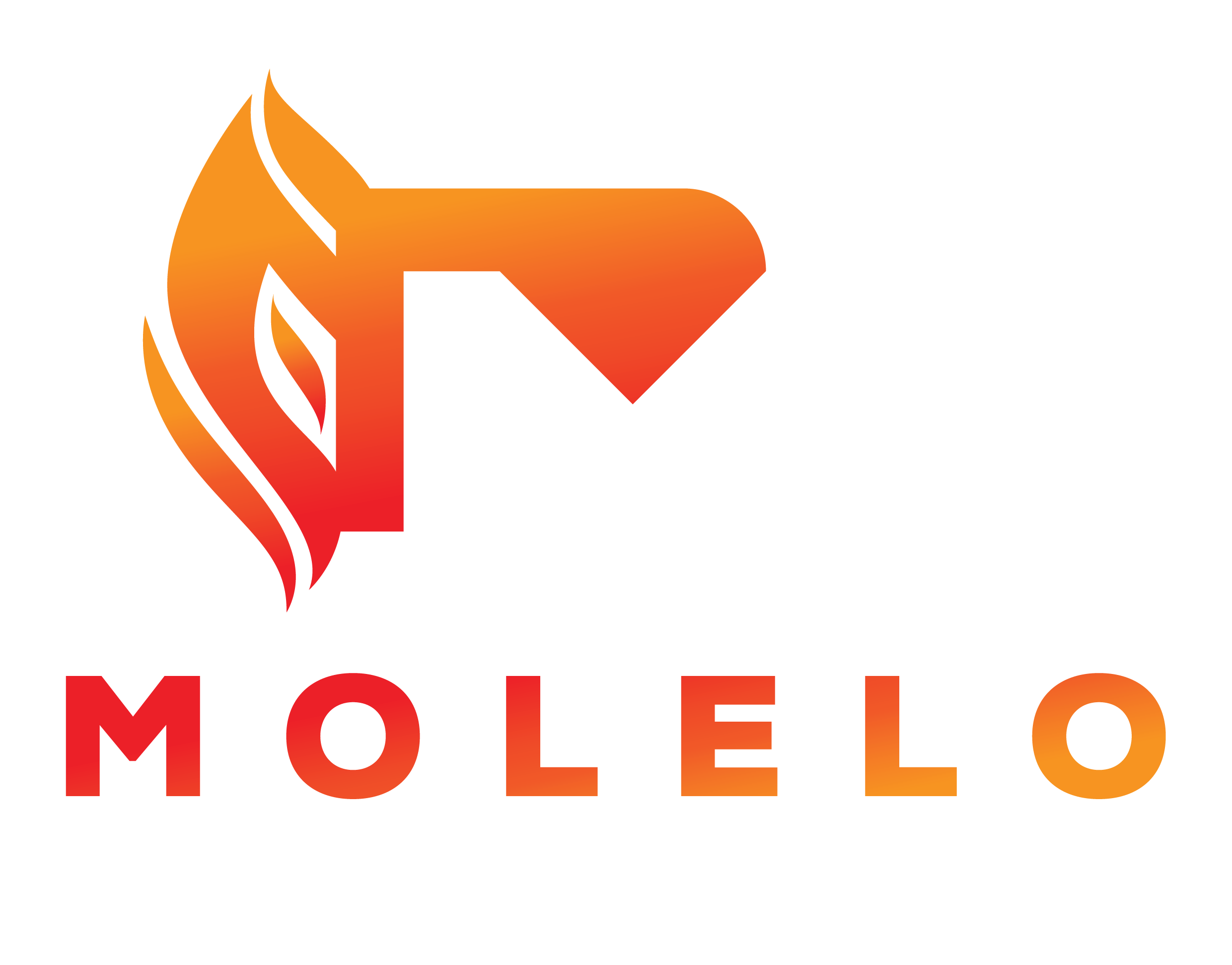 Home [moleloms.co.za]